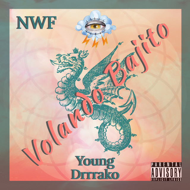 Volando Bajito - Single by Young Drrrako | Spotify