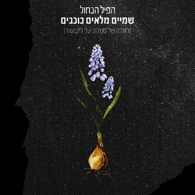 שמיים מלאים כוכבים - song by הפיל הכחול - Hapil | Spotify