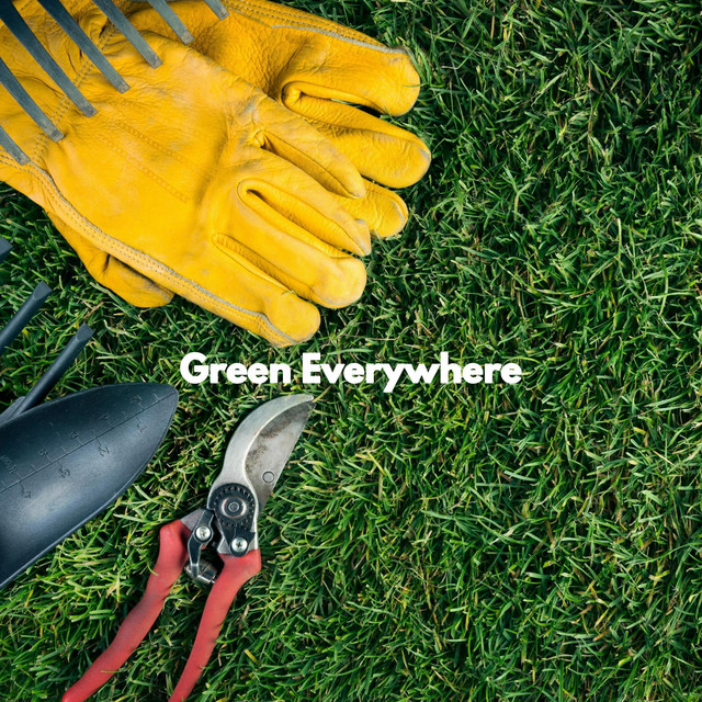 Green Everywhere - Album by Beach Jazz Playlist | Spotify