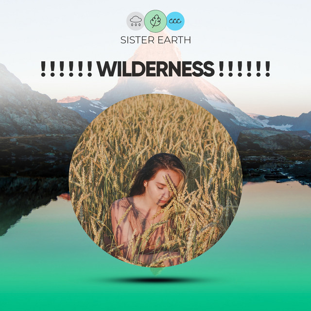 Wilderness ! ! ! ! ! ! - Album by Nature Sounds Nature Music | Spotify