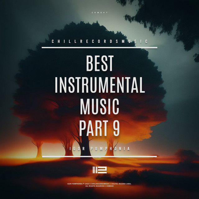Best Instrumental Music Part 9 - Album by Igor Pumphonia | Spotify
