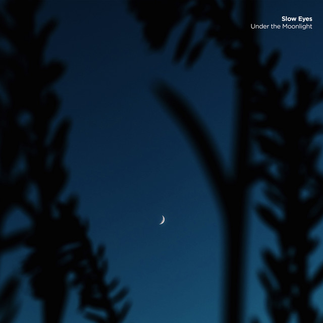 Under the Moonlight - Single by Slow Eyes | Spotify