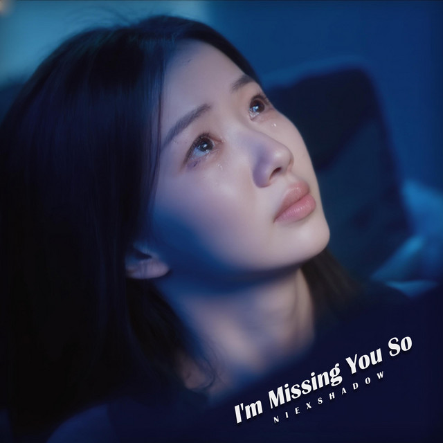 I’m Waiting for You - Album by NiExshadow | Spotify