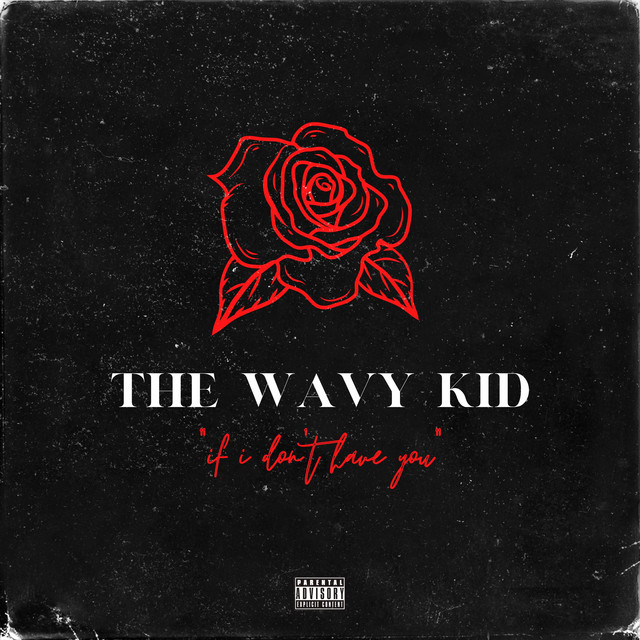 If I Don't Have You - Single by The Wavy Kid | Spotify