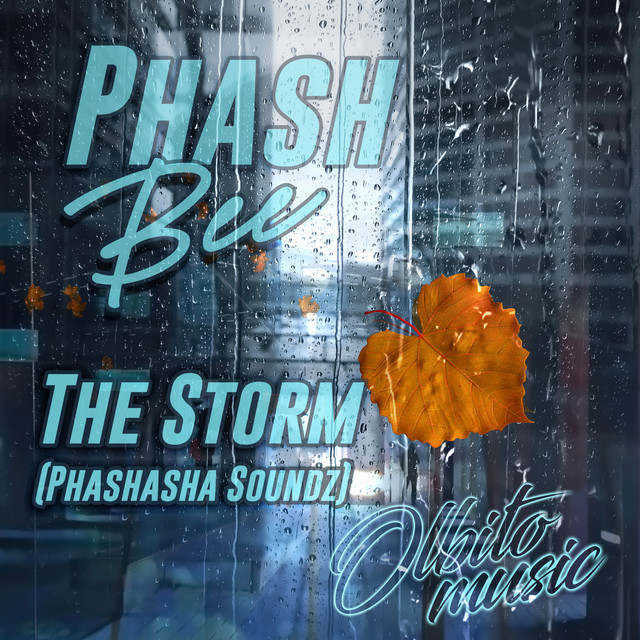 The Storm (Phashasha Soundz) - Single by PHASH BEE | Spotify
