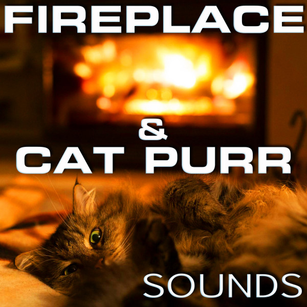Cat Purr Sounds Relaxation - song and lyrics by Fireplace & Cat Purr ...