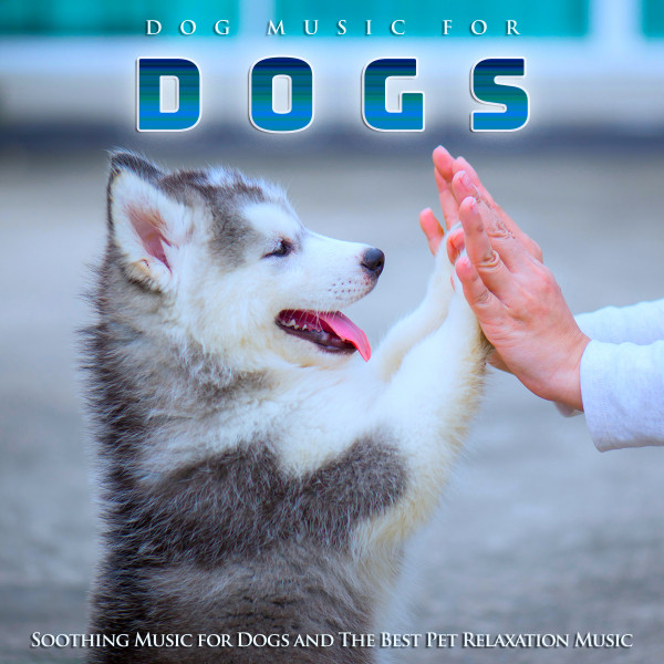 Dog Music For Dogs - song and lyrics by Dog Music, Dog Music Experience ...