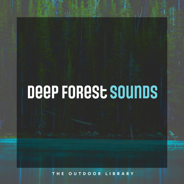 Deep Forest Sounds - Album by The Outdoor Library | Spotify