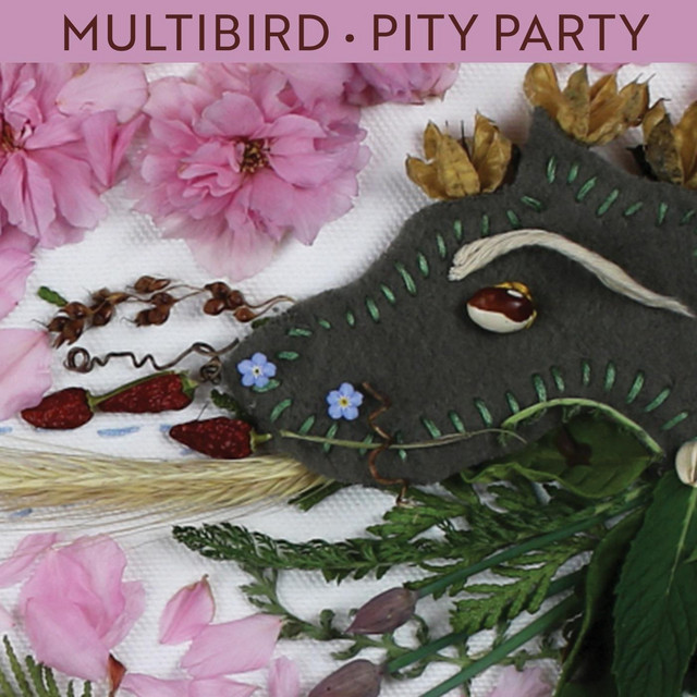 Pity Party - Single by Multibird | Spotify