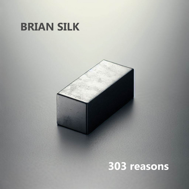 303 Reasons - EP by Brian Silk | Spotify