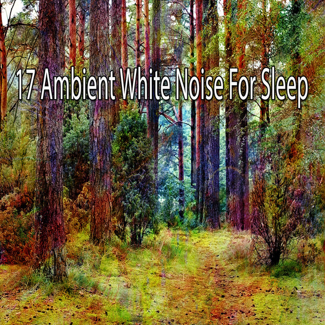 17 Ambient White Noise For Sleep - Album by White Noise Relaxation ...