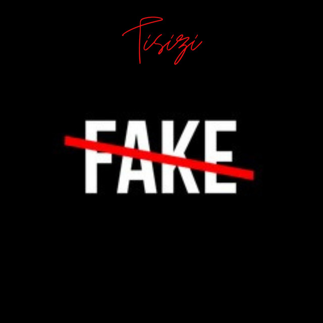 Fake - Single by Tisizi | Spotify
