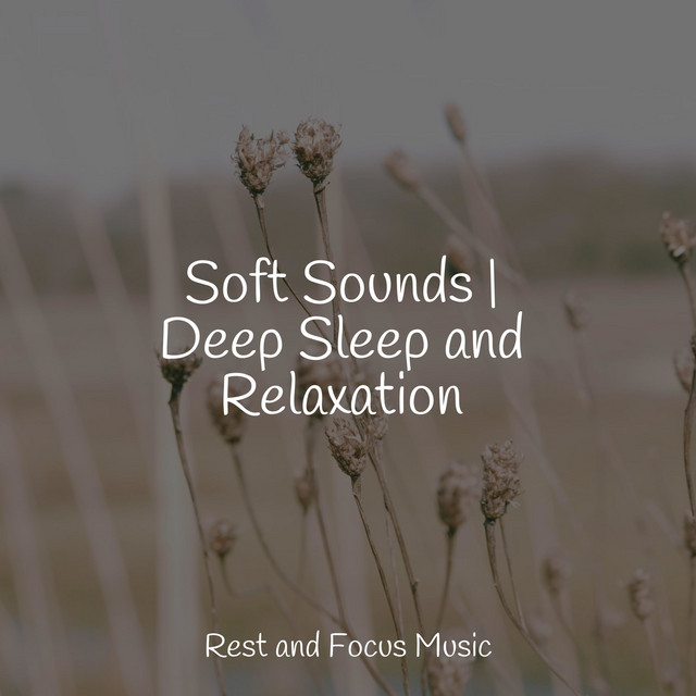 Soft Sounds | Deep Sleep and Relaxation - Album by Ambiente | Spotify