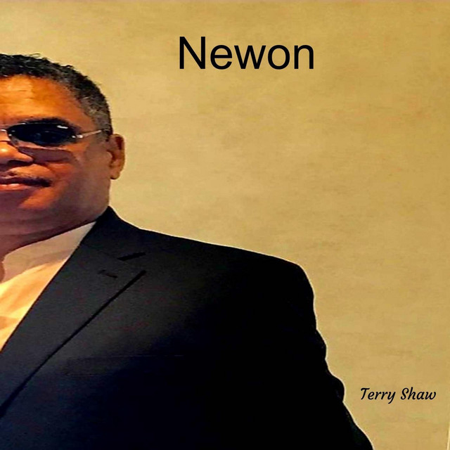 Newon - Single by Terry Shaw | Spotify