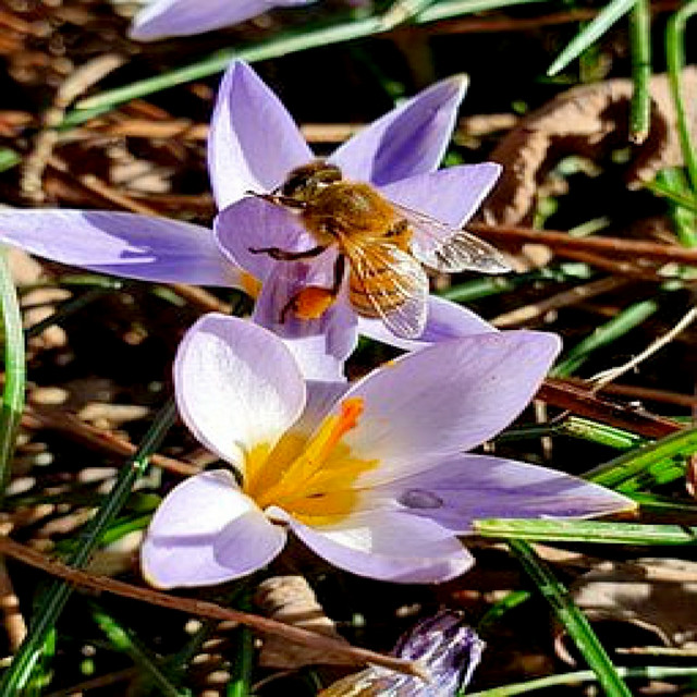 Baby, I'll Rule The World - Single by Alice Vasquez | Spotify