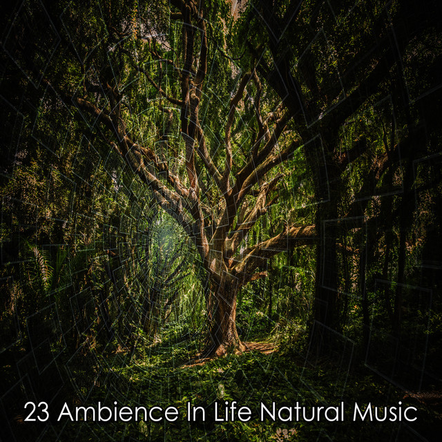 23 Ambience In Life Natural Music - Album by Sounds of Nature ...
