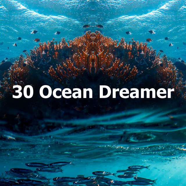 30 Ocean Dreamer - Album by Ocean FX | Spotify