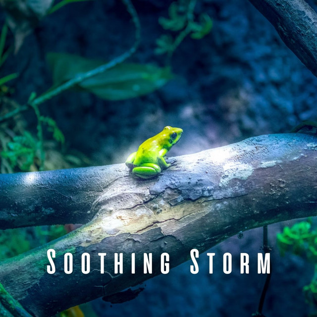 Soothing Storm: Heavy Rain and Frog Nocturnes for Sleep - Album by ...