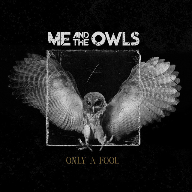 Only A Fool – música e letra de Me and the Owls | Spotify