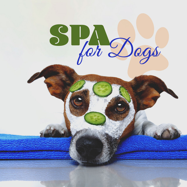 Spa for Dogs: Pampering Time for Dogs, Relaxation Music, Dog SPA Music ...