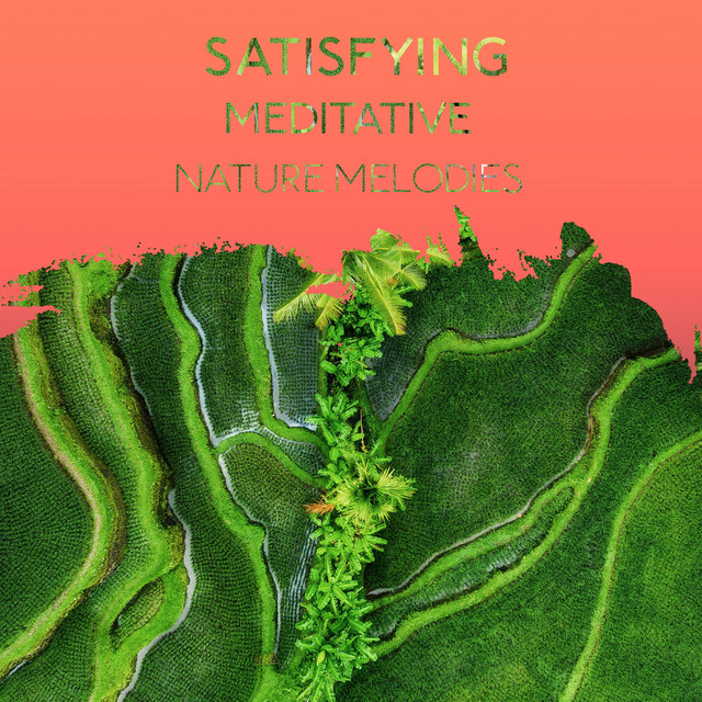 Satisfying Meditative Nature Melodies - Album by Nature Sounds Nature ...