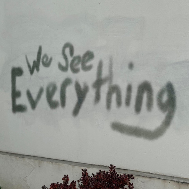 We See Everything - Single by Lovely Lonely Landfill. | Spotify