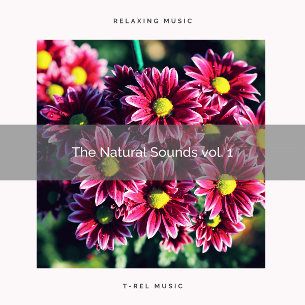The Natural Sounds vol. 1 - Album by Sounds of Nature Noise | Spotify