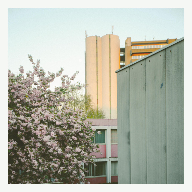 Flowers and Dust - EP by Saudade Experiment | Spotify