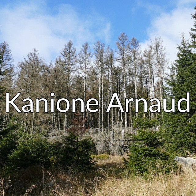 Black Spirit - Album by Kanione Arnaud | Spotify