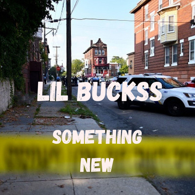 Something New - Single by Lilbuckss | Spotify