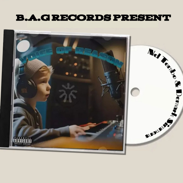 Voice of Reason - Album by Ncl Tombo | Spotify