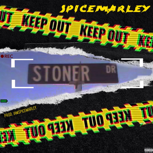 Victories - Single by Spice Marley | Spotify