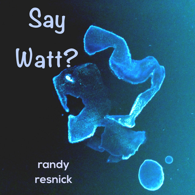 Say Watt Single By Randy Resnick Spotify