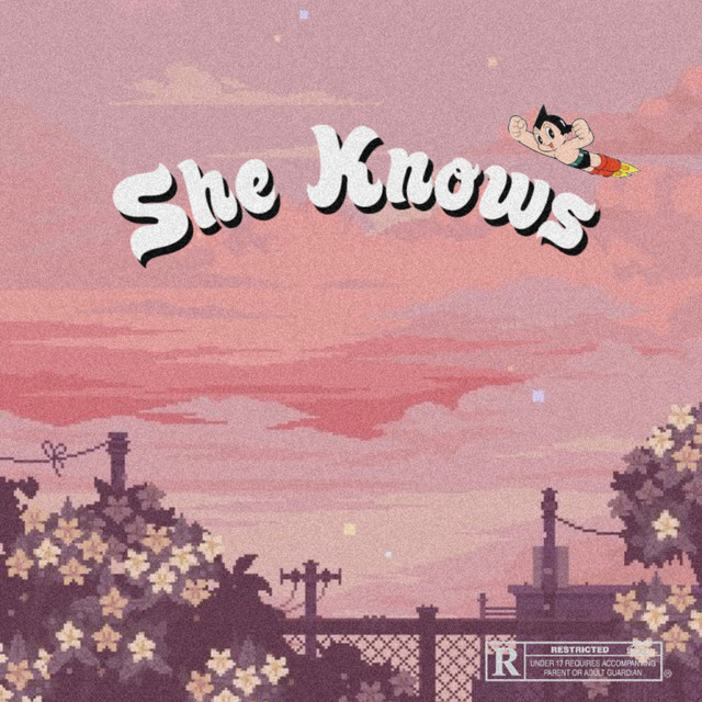 She Knows - Single by Astroboii | Spotify