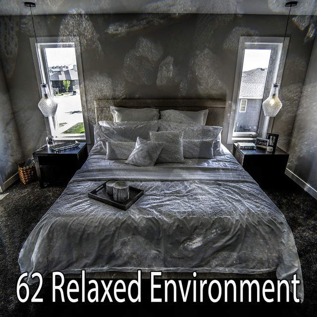 62 Relaxed Environment - Album by The Sleep Specialist | Spotify