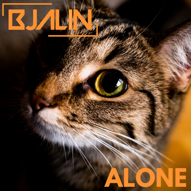 Alone - EP by Bjalin | Spotify