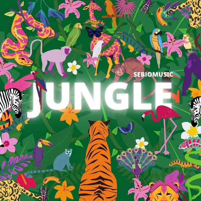Jungle - Single by Sebiomusic | Spotify