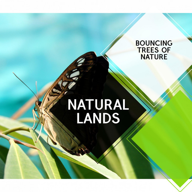 Natural Lands - Bouncing Trees of Nature - Album by Nature Sound Series ...