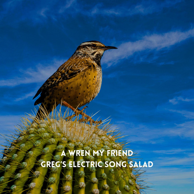 A Wren, My Friend - Single by Greg's Electric Song Salad | Spotify
