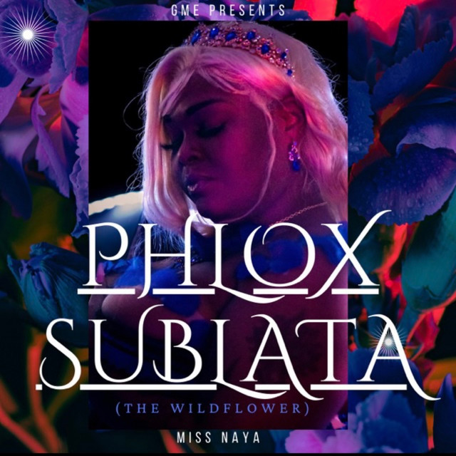 Phlox Sublata - The Wildflower - Album by Miss Naya | Spotify