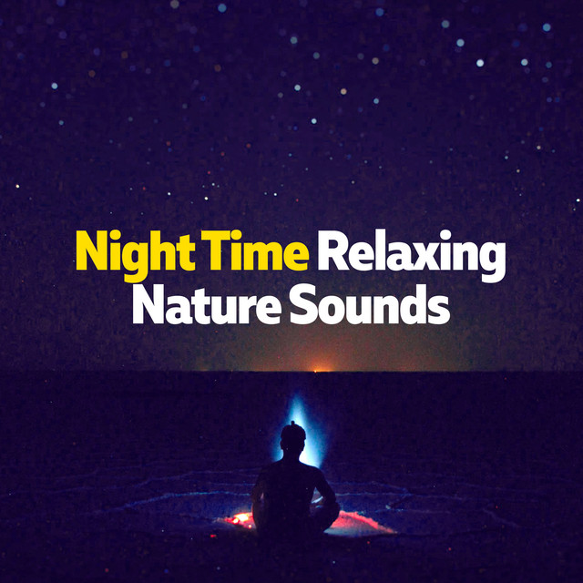 Night Time Relaxing Nature Sounds ! ! ! ! - Album by Night Sounds | Spotify