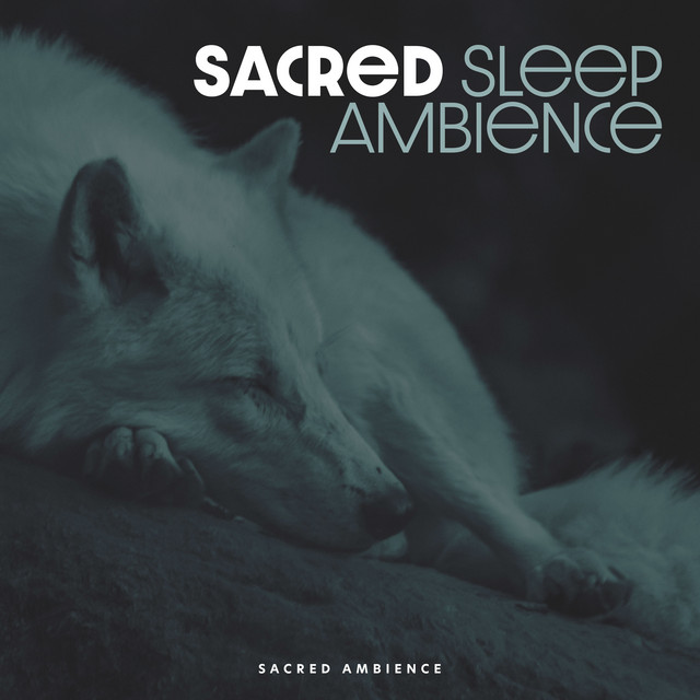 Sacred Sleep Ambience - Album by Sacred Ambience | Spotify