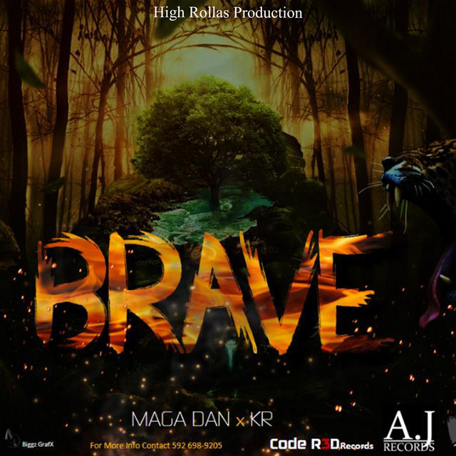 Maga Dan | Spotify