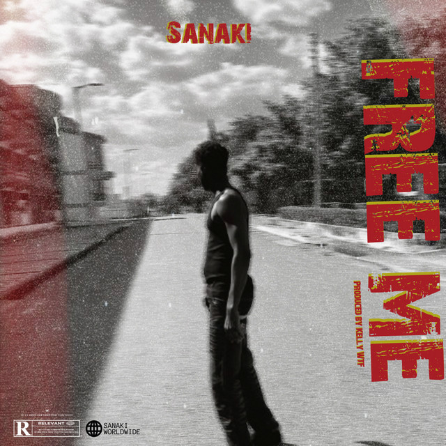 Free Me - song and lyrics by SANAKI | Spotify