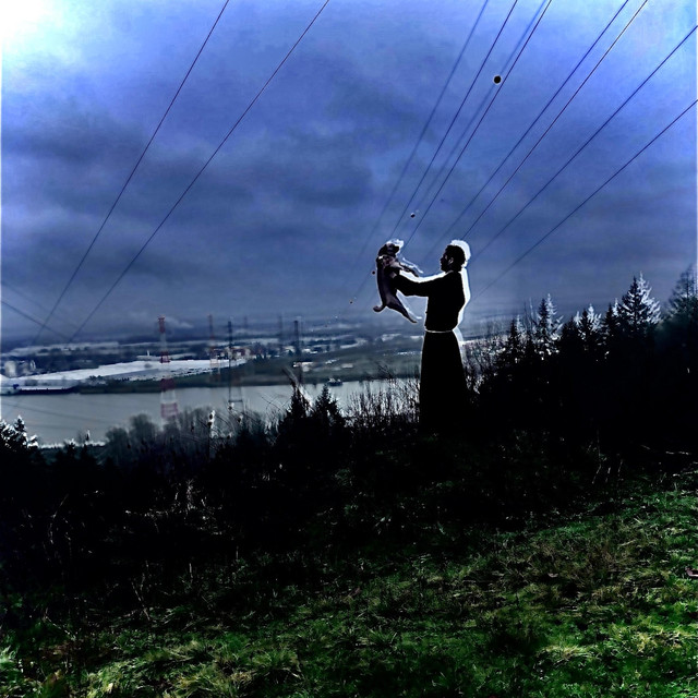 Scorned Layover (Dog Puddle) - Single by Dert Mcspurt | Spotify