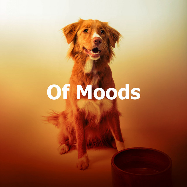 Of Moods - Album by Relaxing Music for Dogs | Spotify