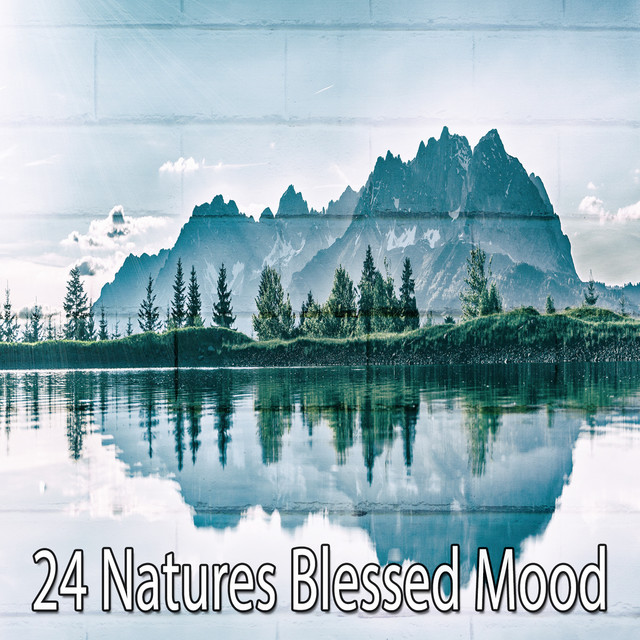 24 Natures Blessed Mood - Album by Nature Sounds Nature Music | Spotify