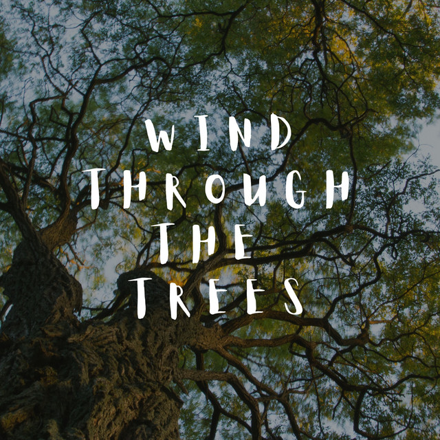 Wind Through the Trees - Album by Nature Sounds Nature Music | Spotify