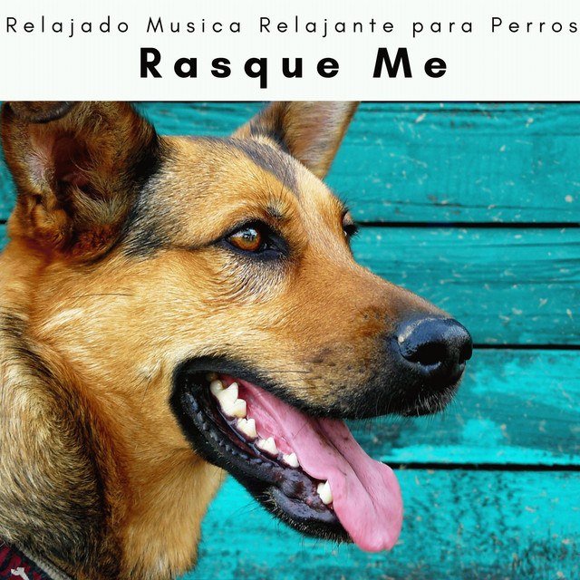 2 0 2 3 Rasque Me - Album by Relajado Musica Relajante para Perros ...