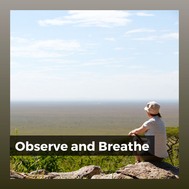 Observe and Breathe - Album by Study Music | Spotify